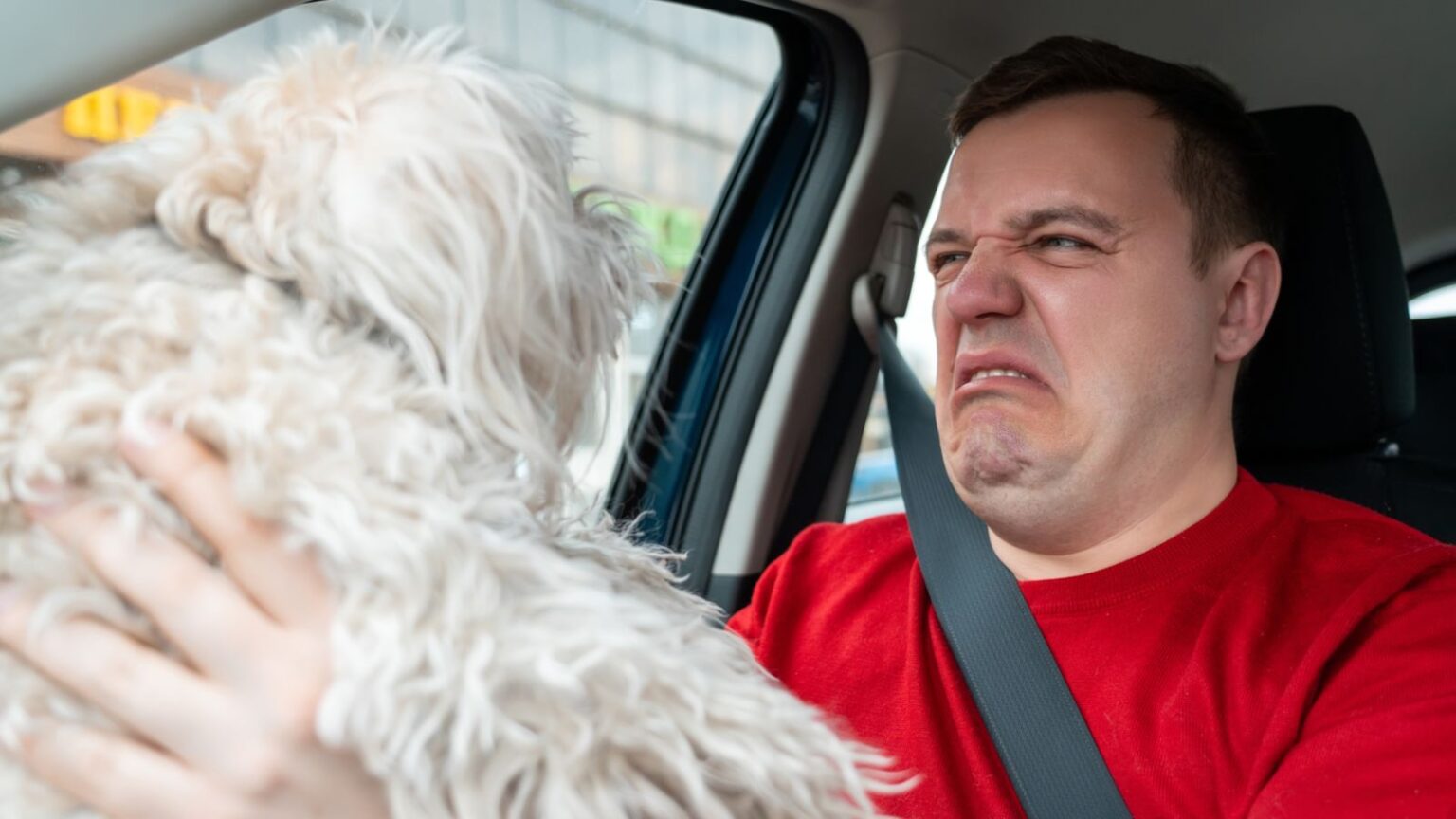 17 Ways To Tell Someone Is Not A Good Person - Guide to Stress Less