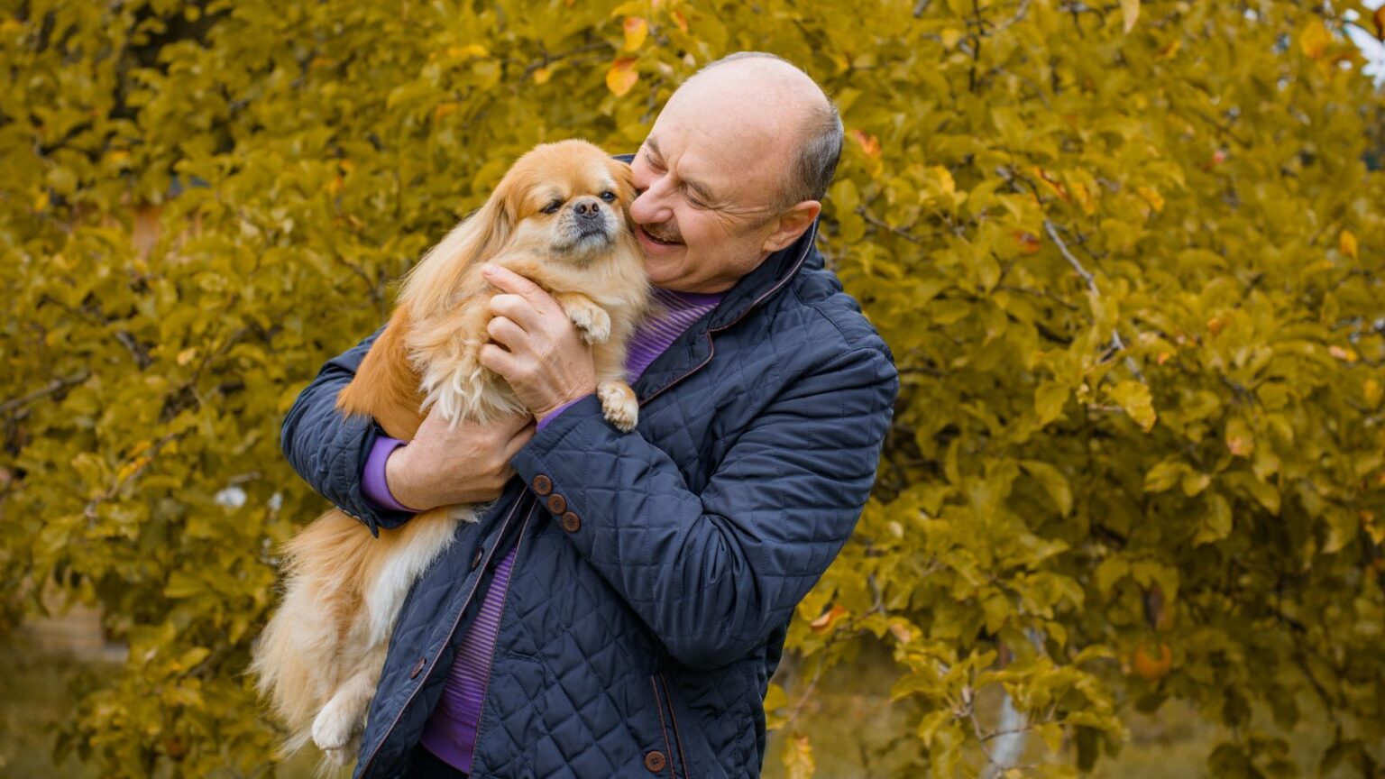 20 Best Dog Breeds for Older People - Guide to Stress Less