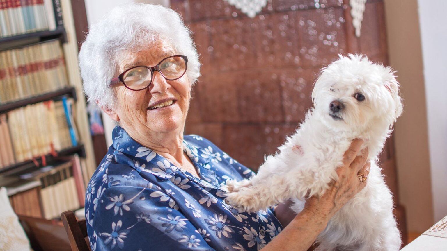 20 Best Dog Breeds for Older People - Guide to Stress Less